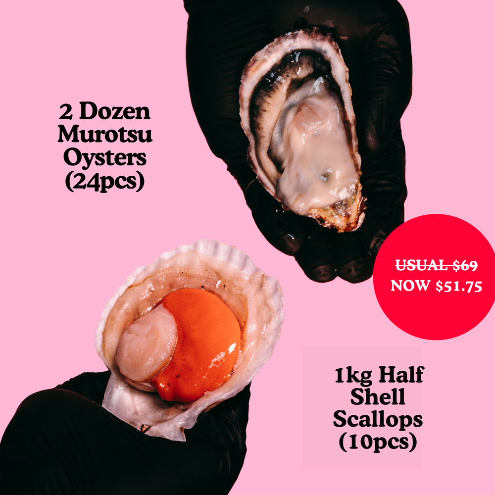 Seashell Seashore Bundle