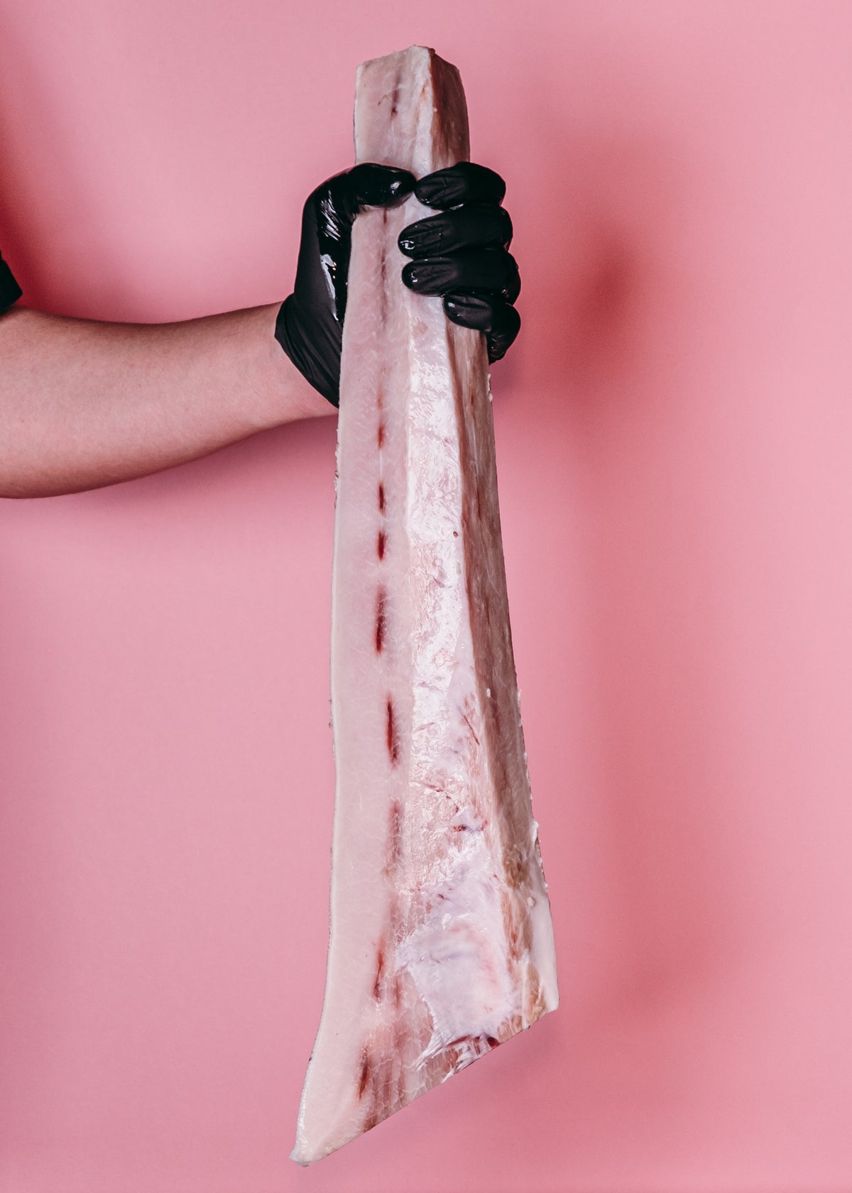 Swordfish Belly (Mekajiki)
